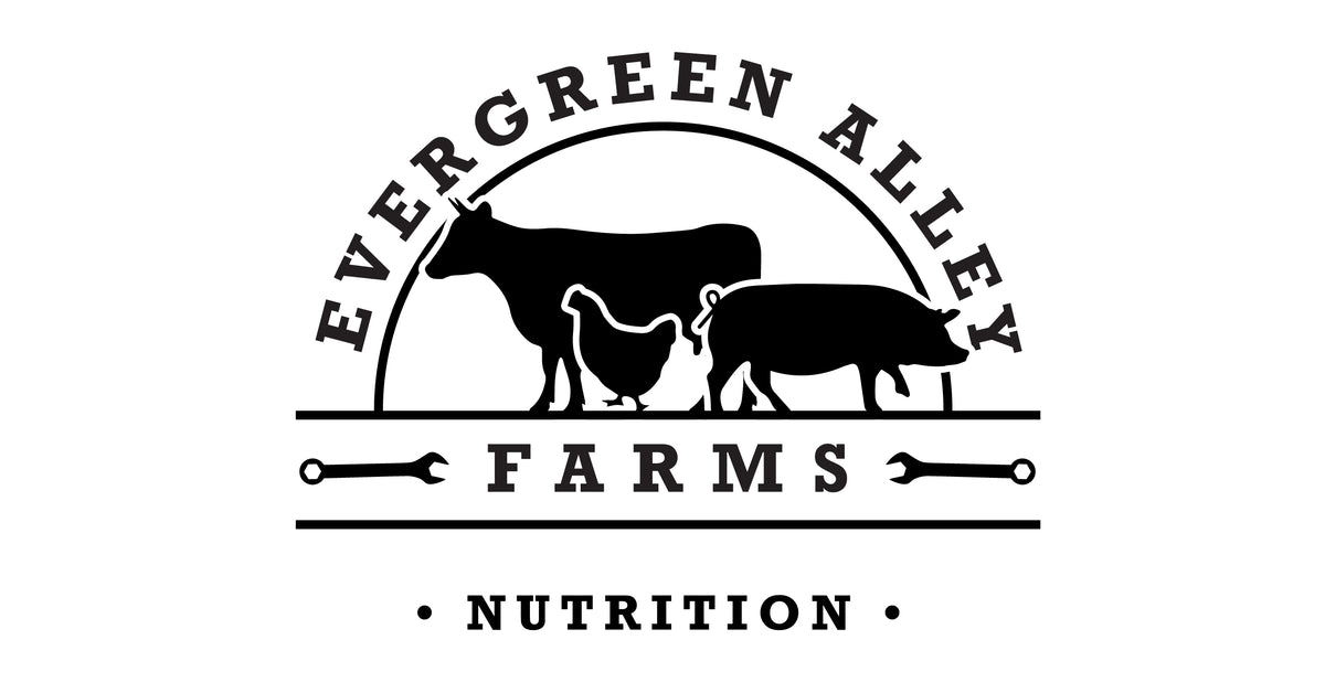 Farm Fresh Dog Treats Delivered - Enhance Your Pet's Diet with Evergre ...